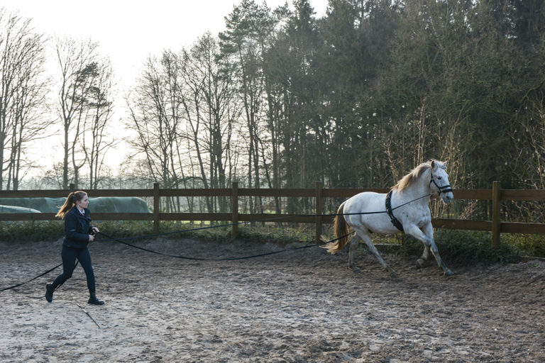 Gründerstory: Pferde verstehen und führen lernen - hei. Hamburger ...